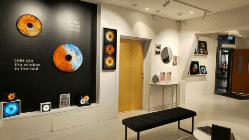 Tromsø: Reveal Your Eye Experience at the Iris Galerie - Key Points