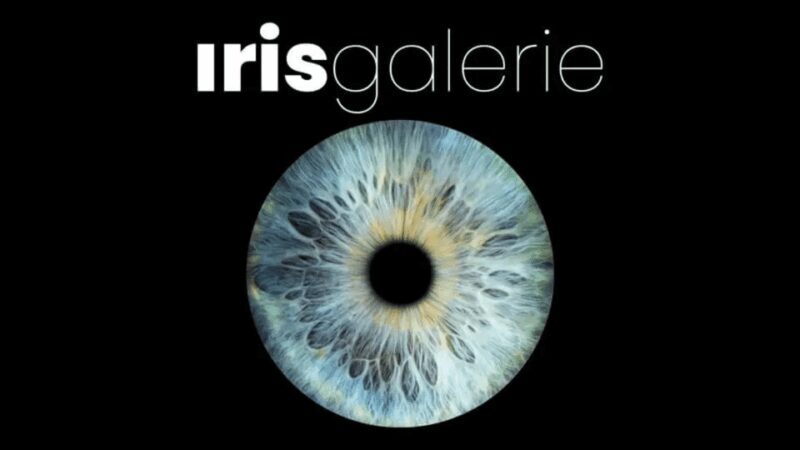 Tromsø: Reveal Your Eye Experience at the Iris Galerie - A Closer Look at the “Reveal Your Eye” Experience