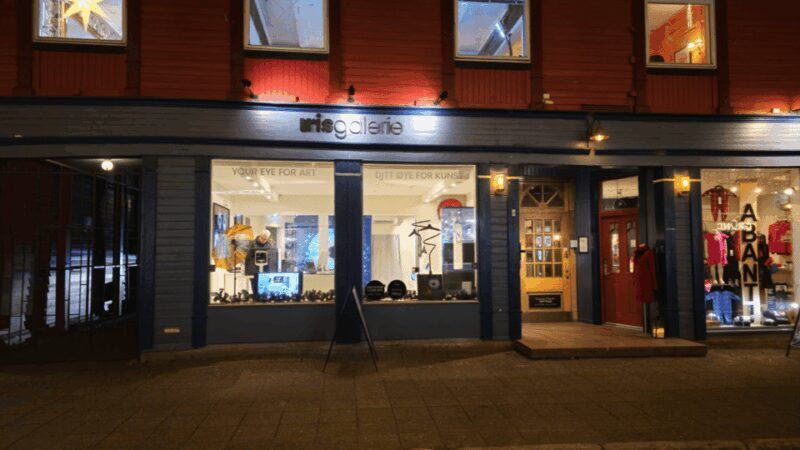 Tromsø: Reveal Your Eye Experience at the Iris Galerie - The Sum Up