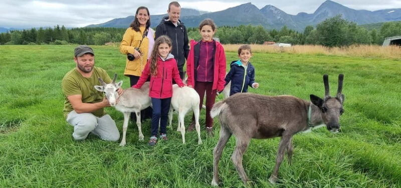 Tromsø: Sami Camp and Reindeer Experience with Lunch - An Overview of the Experience