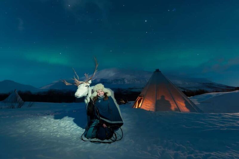Tromsø: Sami Culture, Northern Lights and Reindeer Feeding - An In-Depth Look at the Experience