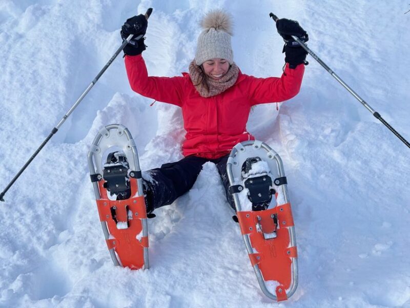 Tromso: Scenic & Eco-Friendly Snowshoeing Tour - What Sets This Tour Apart