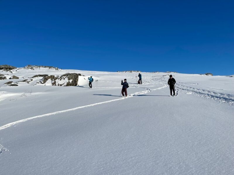 Tromso: Scenic & Eco-Friendly Snowshoeing Tour - Final Thoughts: Is This Tour Right for You?