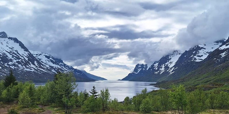 Tromsø: Scenic Fjords & Islands Roadtrip with guide & snacks - What The Experience Looks Like