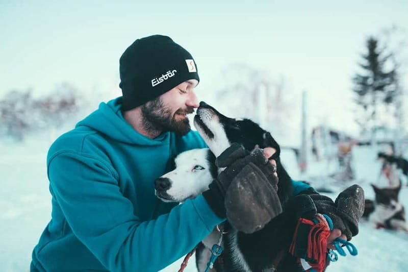 Tromsø: Self-Drive Husky Dog Sledding Adventure - Final Thoughts