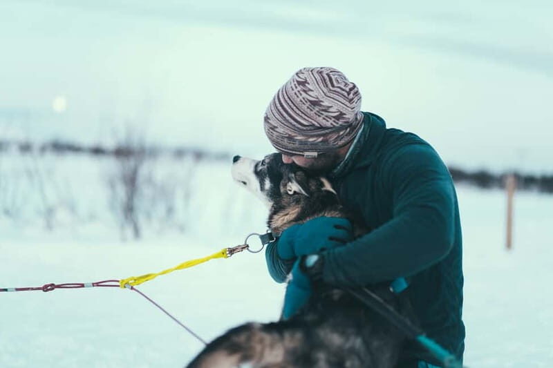 Tromsø: Self-Drive Husky Dog Sledding Adventure - FAQ