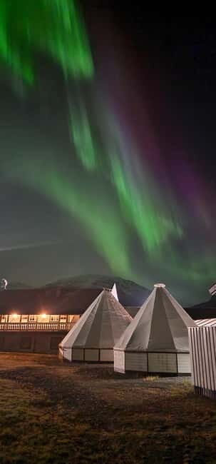 Tromsø/Skibotn: Daytime Sami Culture, Joik & reindeers - Key Points