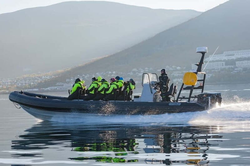 Tromsø: Skjervøy RIB Whale Watching Tour - Key Points