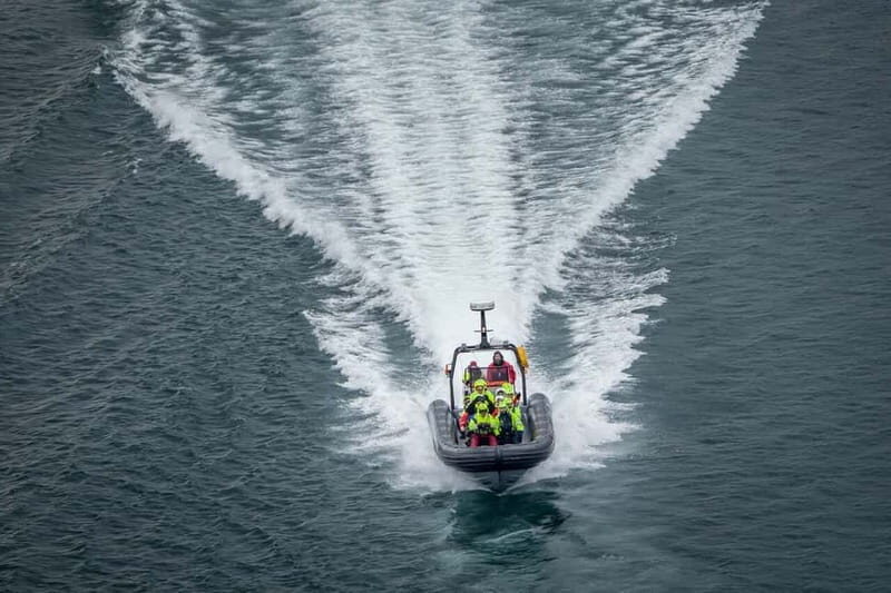 Tromsø: Skjervøy RIB Whale Watching Tour - What the Reviews Say: Authentic Experiences & Practical Tips