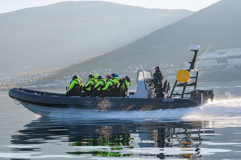 Tromsø: Skjervøy RIB Whale Watching Tour - Practical Tips Based on Reviews