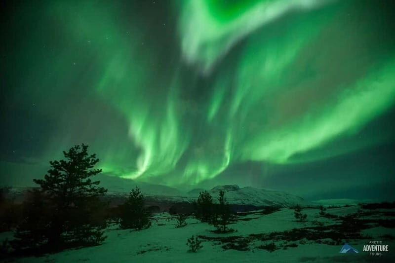 Tromsø: Small Group Northern Lights Hunt - FAQ