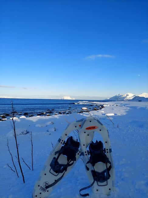 Tromsø: Snowshoe Hike to Lyngstuva Lighthouse with Lunch - Key Points