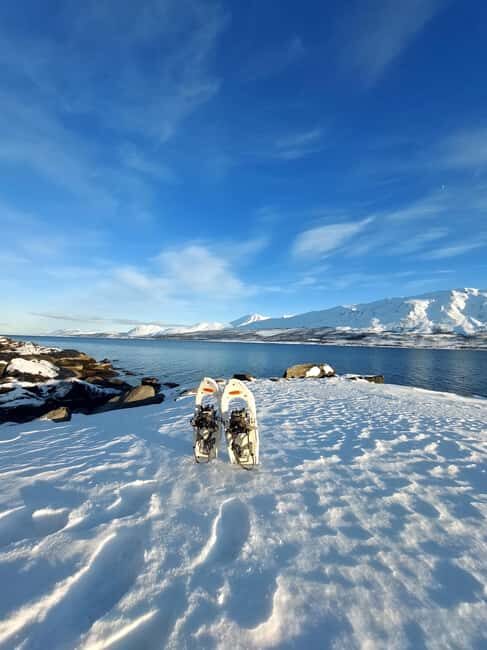 Tromsø: Snowshoe Hike to Lyngstuva Lighthouse with Lunch - FAQ