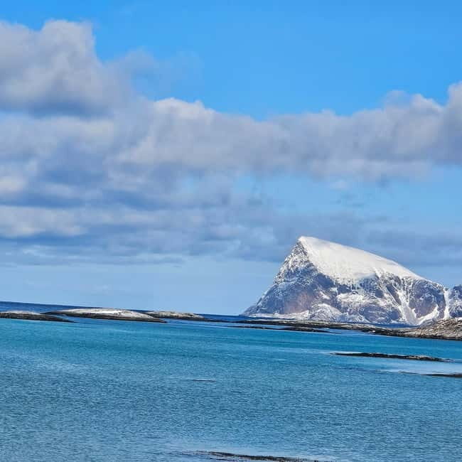 Tromsø: Sommarøy Islands, Kvaløya and Fjords Tour with lunch - Who Will Love This Tour?