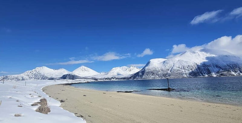 Tromsø: Sommarøy Islands, Kvaløya and Fjords Tour with lunch - FAQ