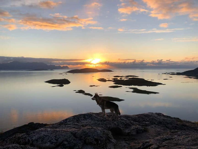 Tromsø: Sommarøy Islands Midnight Sun Tour - The Real Deal: A Deep Dive into the Experience
