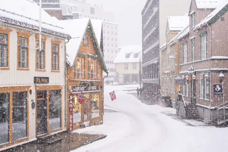 Tromsø: Spanish tour of the historic center and the Polar Museum - What You Can Expect from the Experience