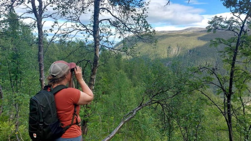 Tromsø Street to Summit: Fløya Mountain Guided Hike - Key Points