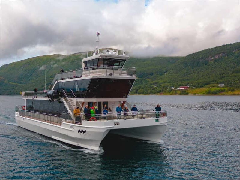 Tromsø: Summer Arctic Light Cruise with a Guide - What’s Included & Whats Not