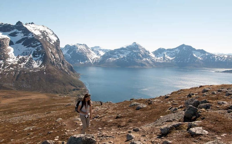 Tromsø: Summer Day Hike in the wilderness - Exploring Tromsø’s Summer Wilderness: A Heartfelt Review of the Day Hike