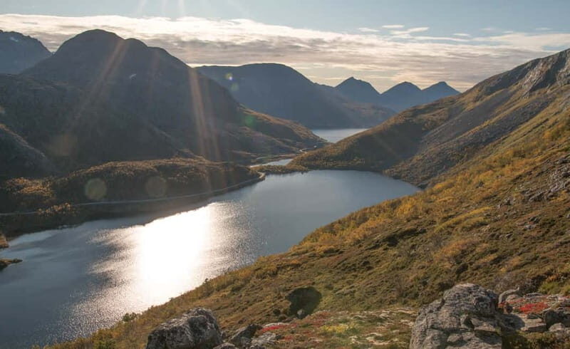 Tromsø: Summer Day Hike in the wilderness - Authentic Experiences and Honest Reviews