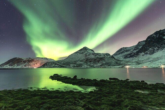 Tromsø: Summer Day Hike with Wandering Owl - Key Points