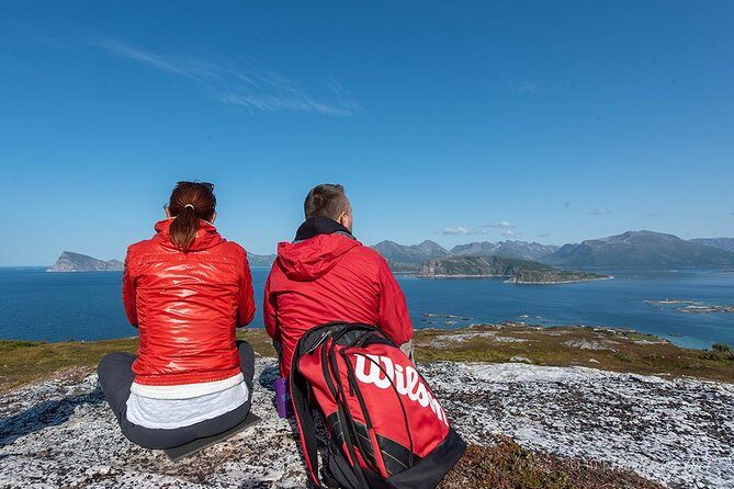 Tromsø: Summer Day Hike with Wandering Owl - Authentic Feedback: What Travelers Say