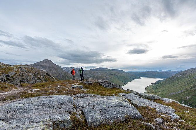 Tromsø: Summer Day Hike with Wandering Owl - Who Will Love This Tour?