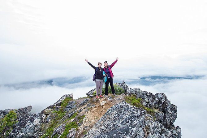 Tromsø: Summer Day Hike with Wandering Owl - The Sum Up