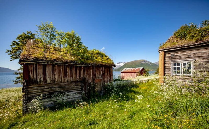 Tromsø: Summer Fjord Road Trip with Citizen Science - Key Points