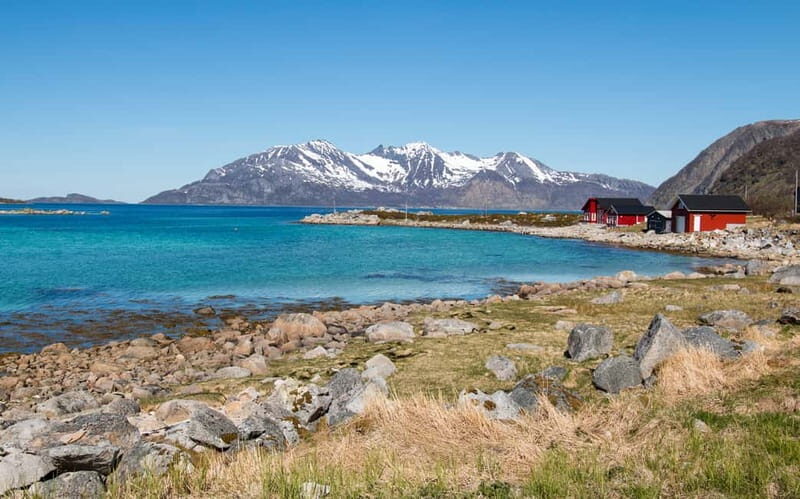 Tromsø: Summer Fjord Road Trip with Citizen Science - Who Will Enjoy This Tour?