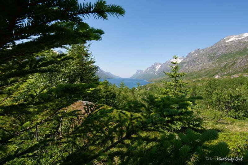 Tromsø: Summer Fjord Road Trip with Citizen Science - FAQs