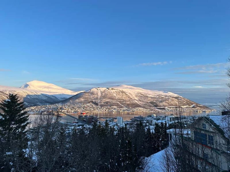 Tromsø: The View Panoramic Scenery and Local Delights - Key Points