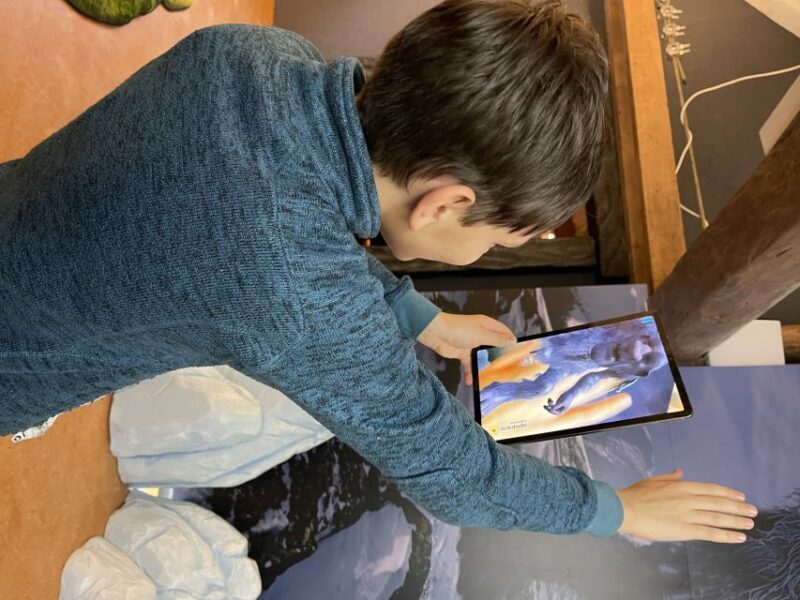 Tromsø: Troll Museum Entry Ticket with AR Media Experience - Final Thoughts
