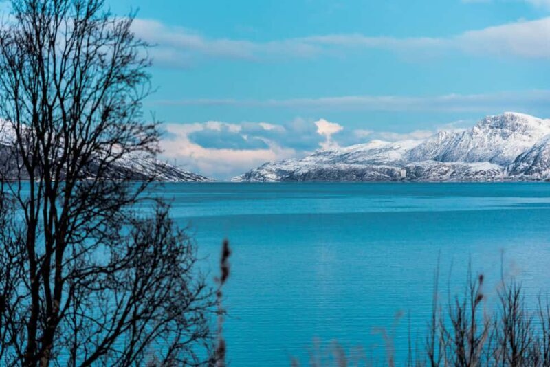 Tromso: Visit 5 Fjords in 4 hours - An In-Depth Look at the Fjord Tour