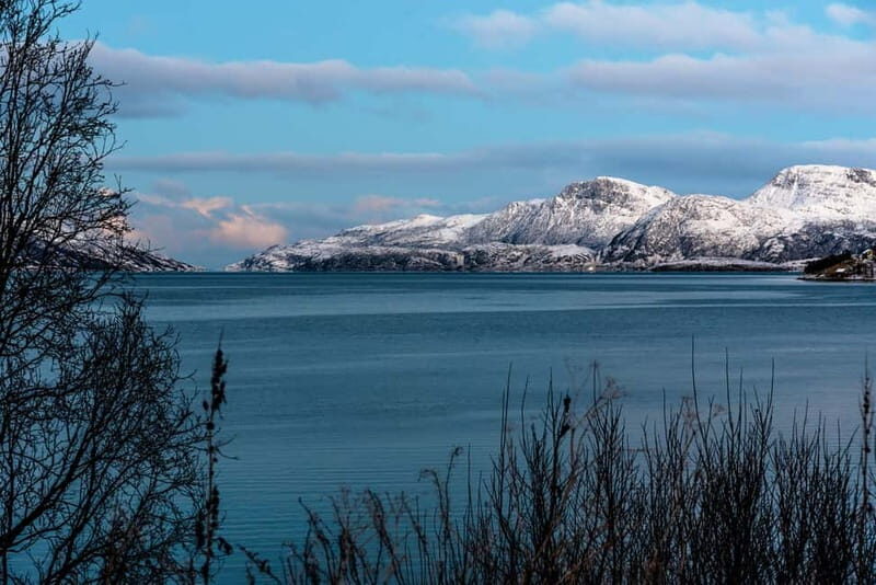 Tromso: Visit 5 Fjords in 4 hours - A Detailed Look at the Fjord Tour Experience