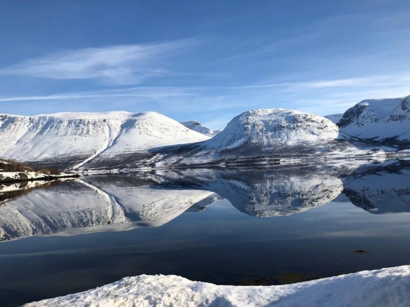 Tromsø Whale Safari with MS Gabriele - Is It Worth the Cost?