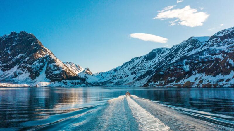 Tromsø Whale Safari with MS Keiser Wilhelm - Summary