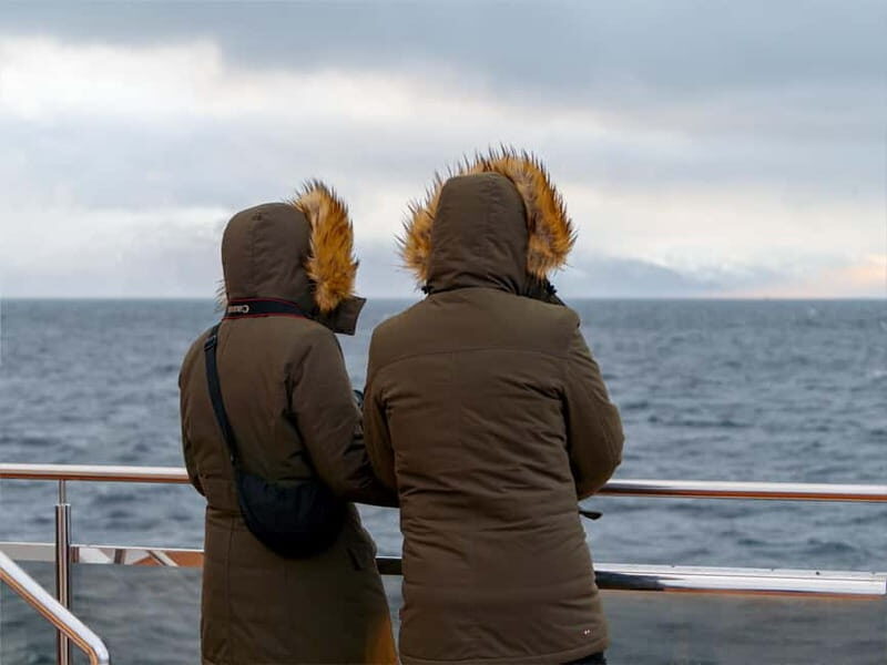 Tromsø: Whale Watching on hybrid boat with scenic bustrip - What to Expect on Your Tromsø Whale Watching Tour