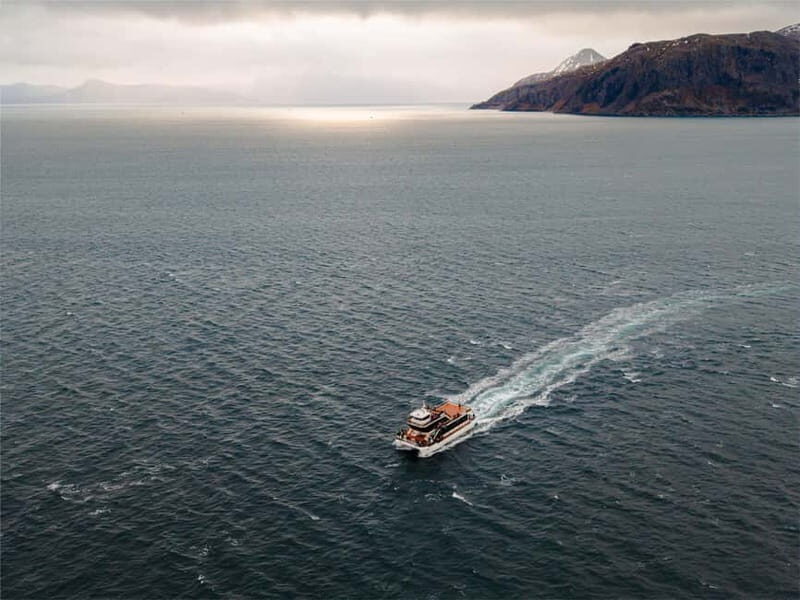 Tromsø: Whale Watching on hybrid boat with scenic bustrip - FAQs