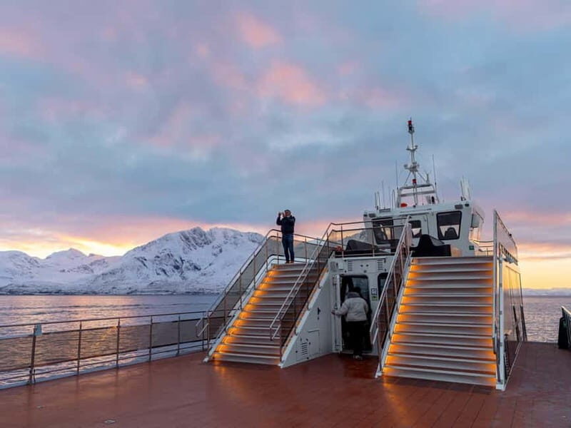 Tromsø: Whale Watching Tour by Hybrid-Electric Boat - Authentic Encounters and Honest Feedback