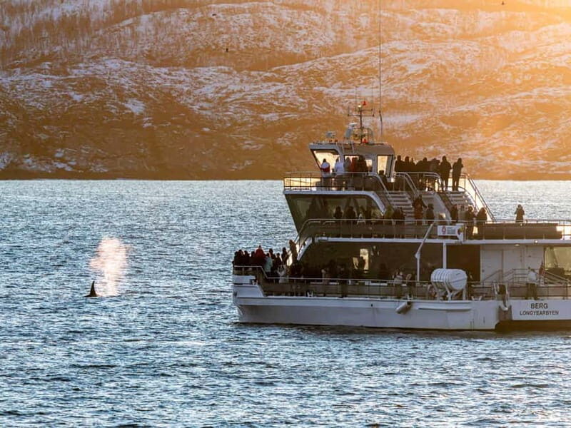 Tromsø: Whale Watching Tour by Hybrid-Electric Boat - Final Thoughts