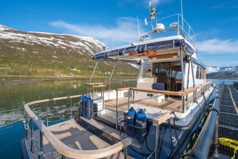 Tromsø: Whale Watching VIP Boat Tour with Lunch - Practical Details: What You Need to Know
