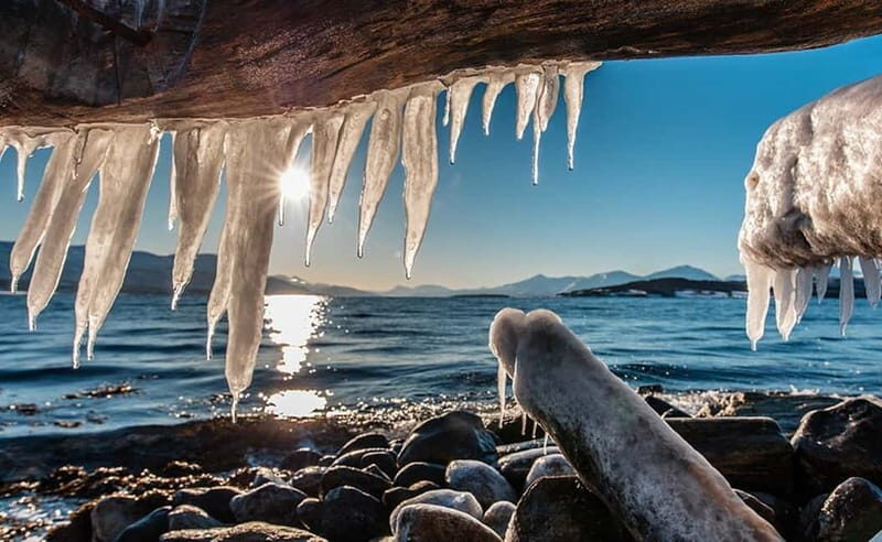 Tromsø: Winter Fjord Road Trip - Food and Comfort
