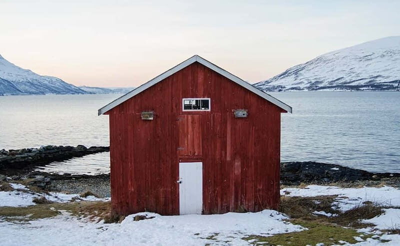 Tromsø: Winter Fjord Road Trip - Reviews: Authentic Feedback from Past Travelers