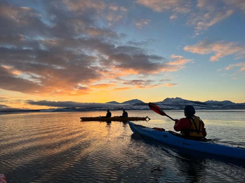 Tromsø: Winter Sea Kayaking Tour with Wildlife Sightings - Frequently Asked Questions