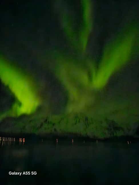 Tromsø:Northern light tour with mini bus i Tromsø - The Sum Up