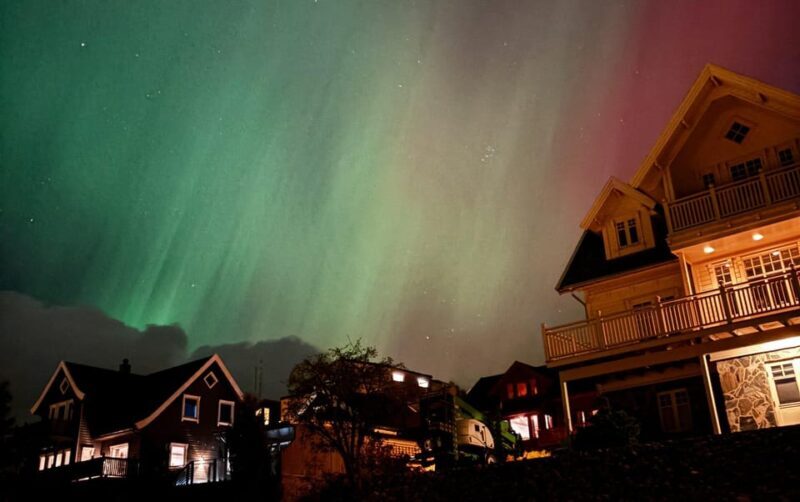 Tromsø:Northern light tour with mini bus i Tromsø - The Bottom Line: Is It Worth It?