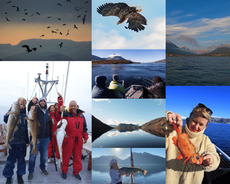 Tromsøs Top-Rated Fjord & Fishing Cruise  All-Inclusive - The Real Value of This Arctic Escape