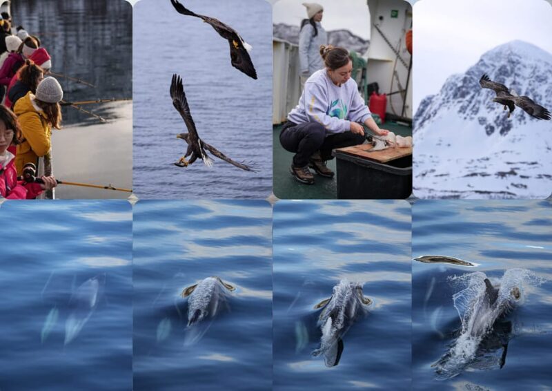 Tromsøs Top-Rated Fjord & Fishing Cruise  All-Inclusive - Final Thoughts